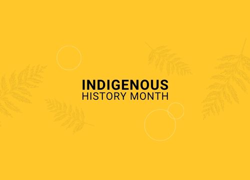 Settler Colonialism and Genocides Against Indigenous Peoples ...